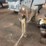 STOW MODEL 18 PORTABLE MORTAR & PLASTER MIXER by SAC Auctions | Auction ...
